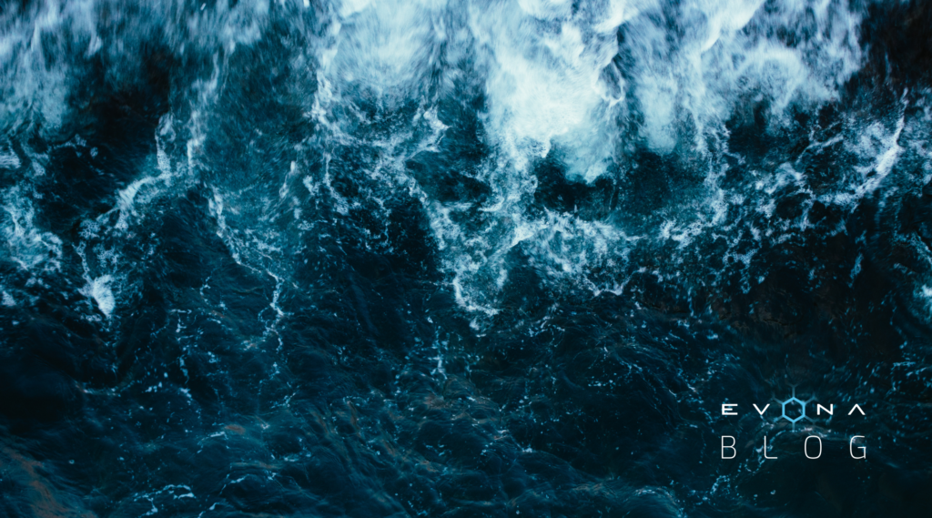 Space Technology for Ocean Conservation | EVONA